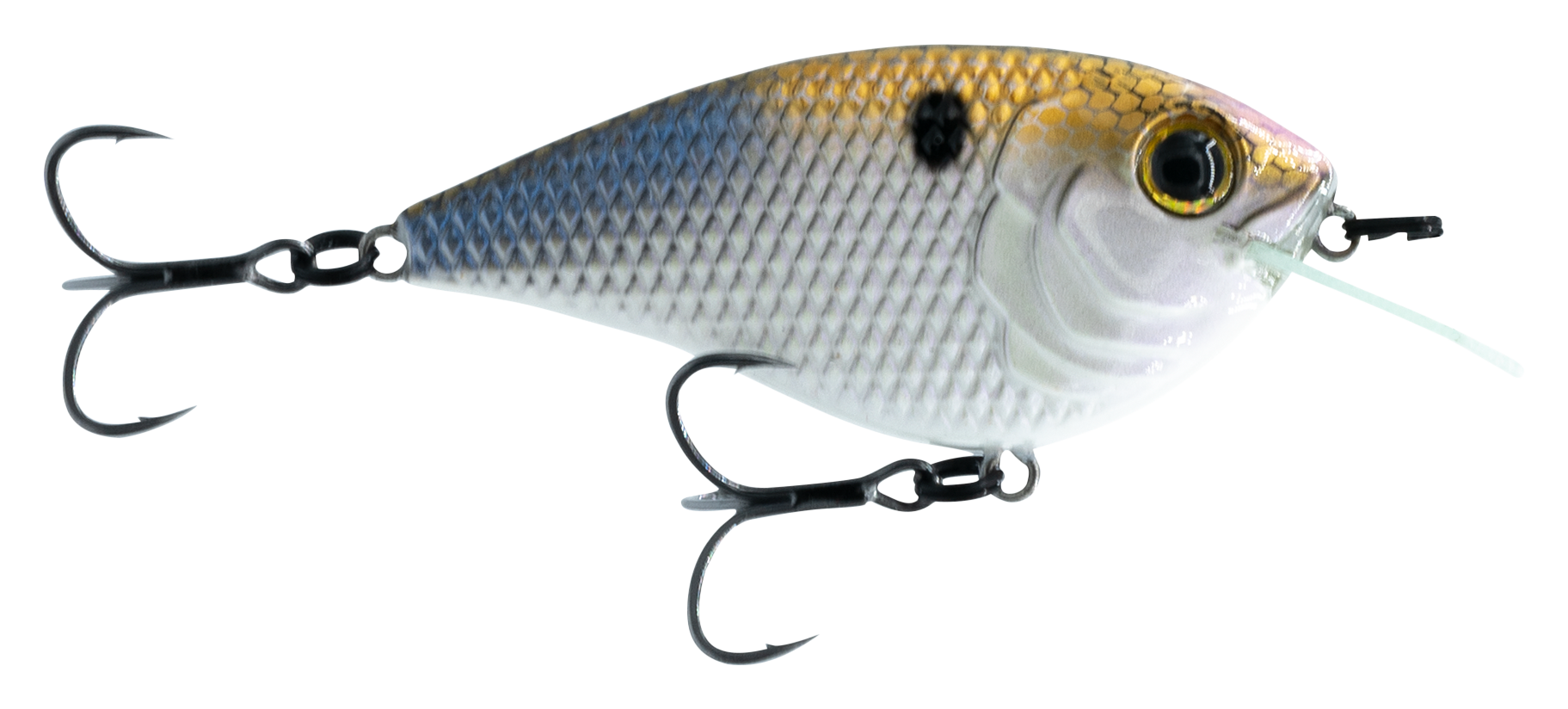 6th Sense Fishing Flat Finesse F4 Crankbait | Bass Pro Shops